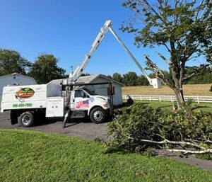 Best Tree Service in NJ - Lumberjacks Tree Service LLC
