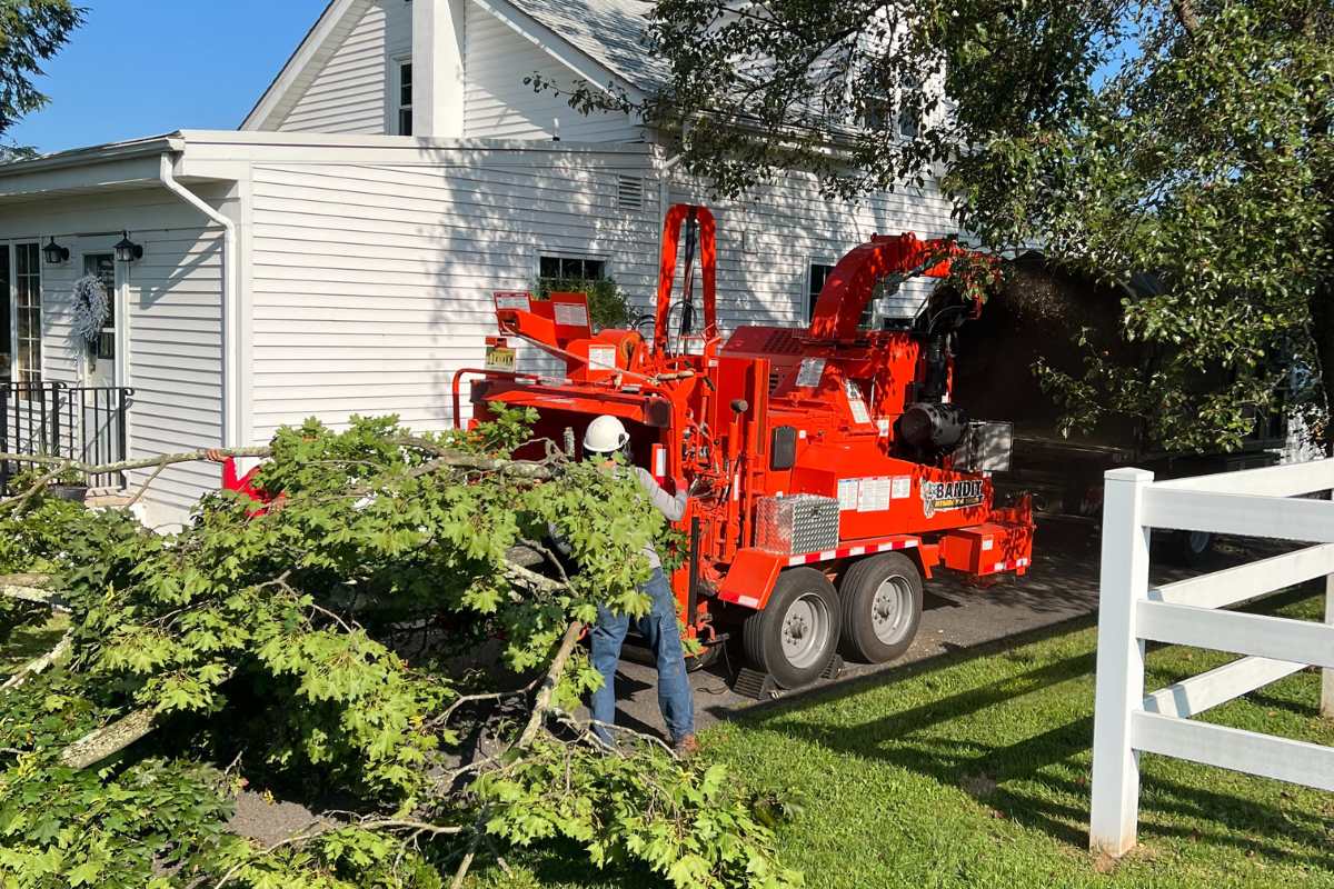 Blog - Lumberjacks Tree Service LLC