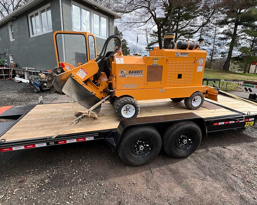 Professional Stump Grinding Solutions NJ - 2025
