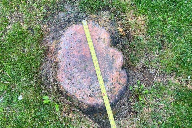 Stump Grinding Costs in New Jersey - 2025
